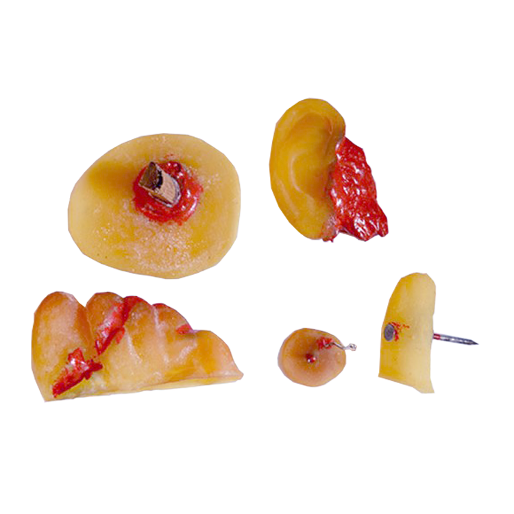 Wound Simulation Kit